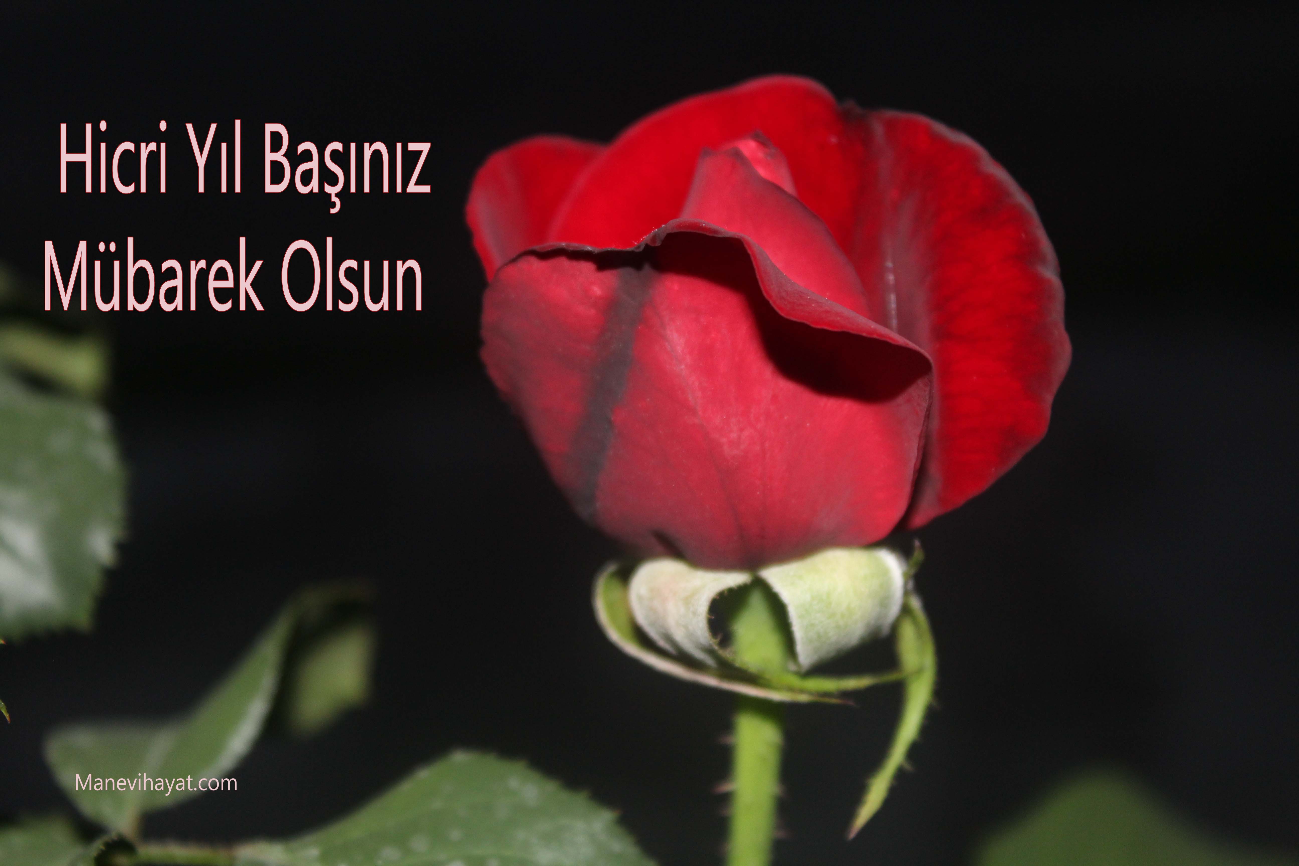 Hicri Yeni Yıl Kutlama Sözleri ve Mesajları | MANEVİ HAYAT